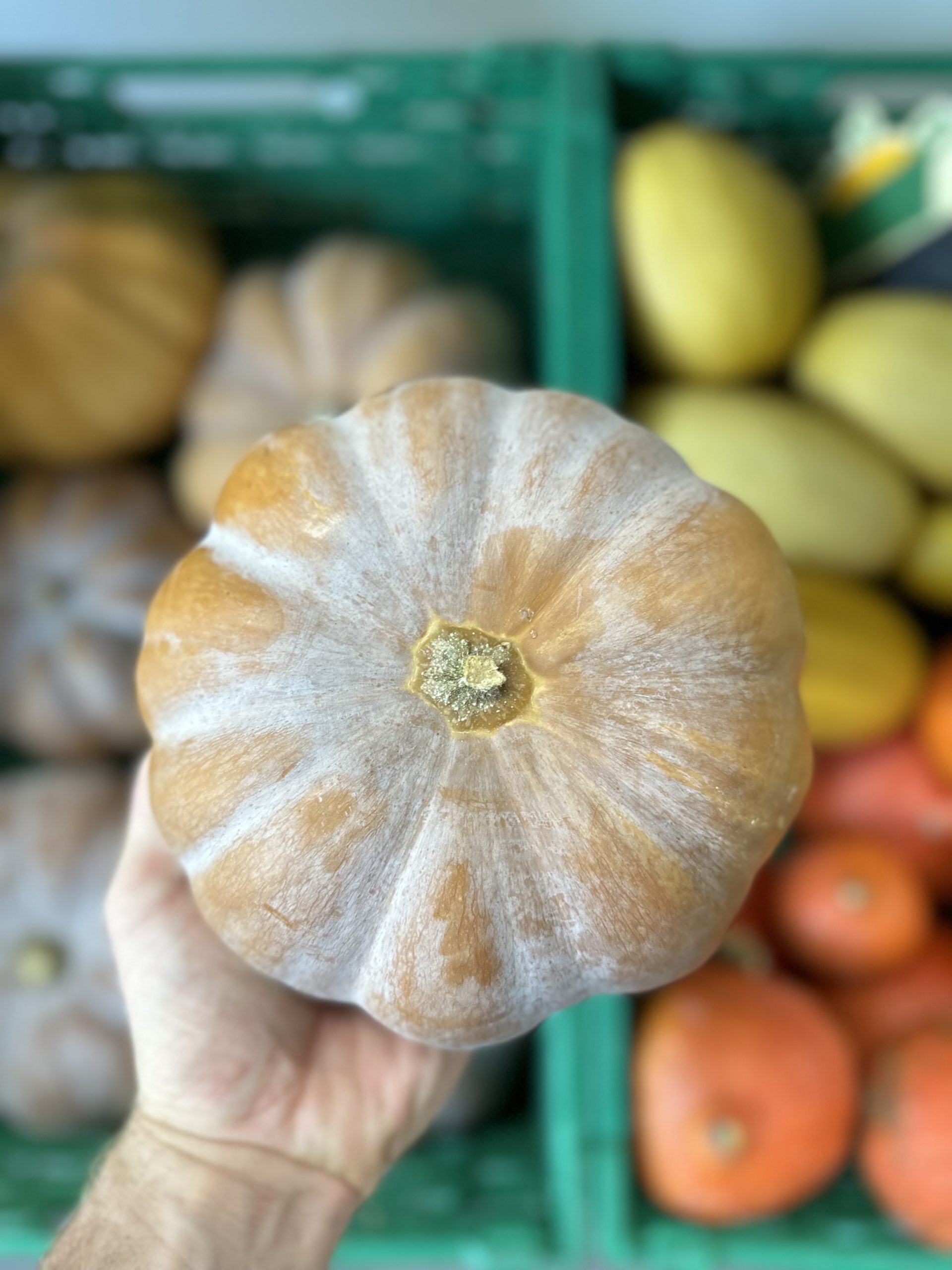 Daniel Jacot – Maraîcher, livraison de paniers de légumes et de fruits ...