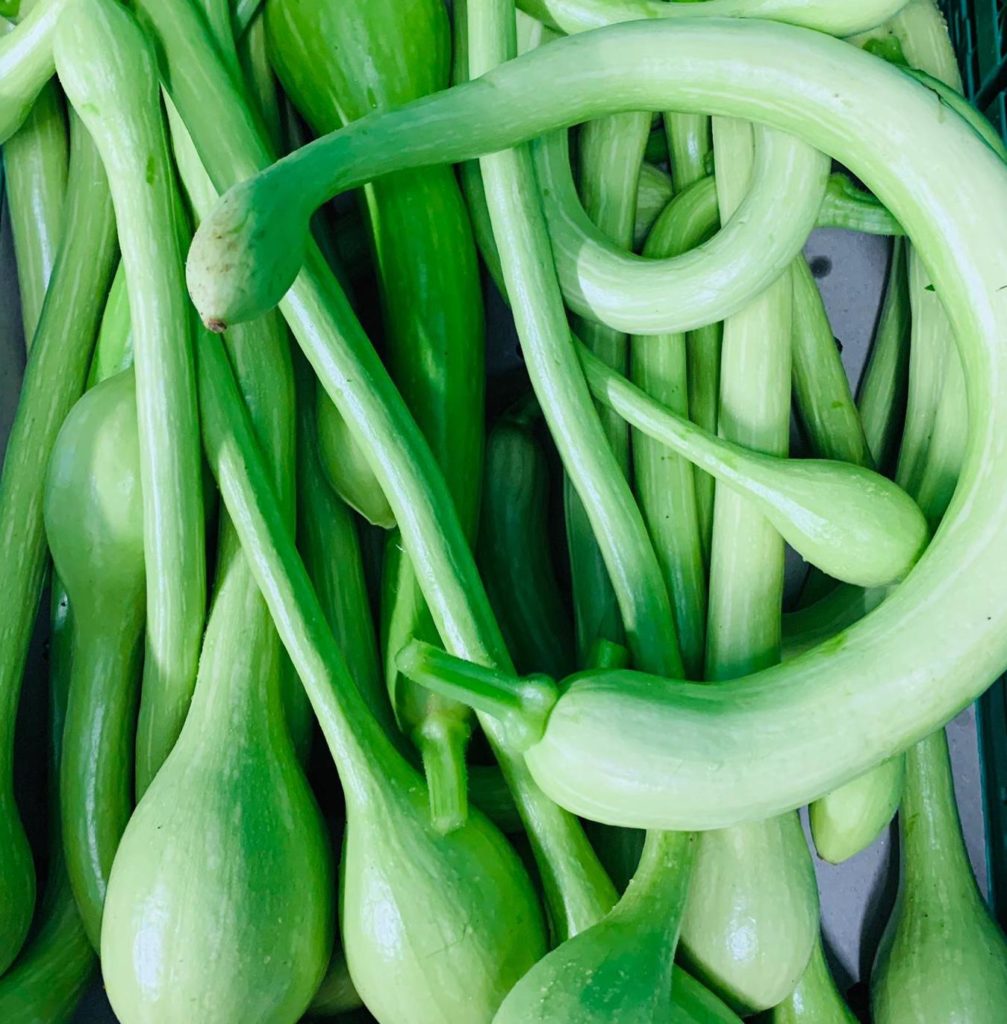 Daniel Jacot – Maraîcher, livraison de paniers de légumes et de fruits ...