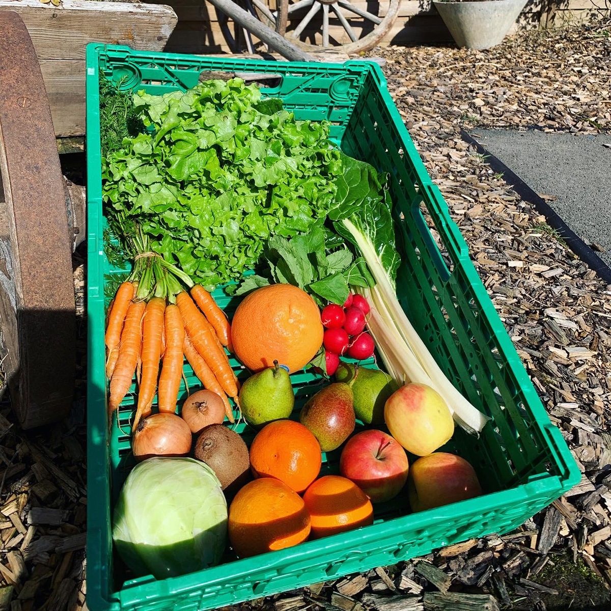 Les paniers – Daniel Jacot
